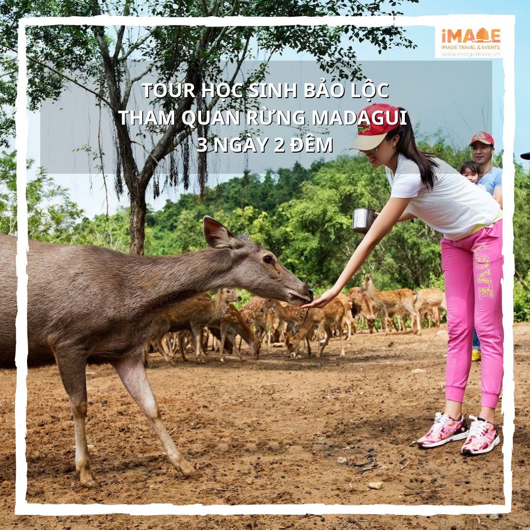 TOUR HỌC SINH BẢO LỘC - THAM QUAN RỪNG MADAGUI 3 NGÀY 2 ĐÊM